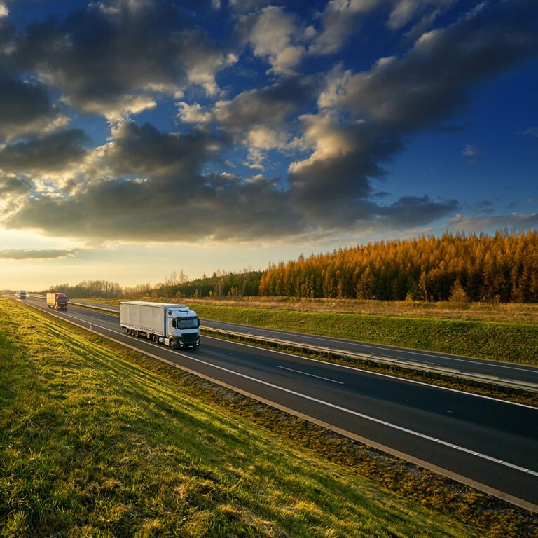 Core Carriers - W.I.S. Logistics